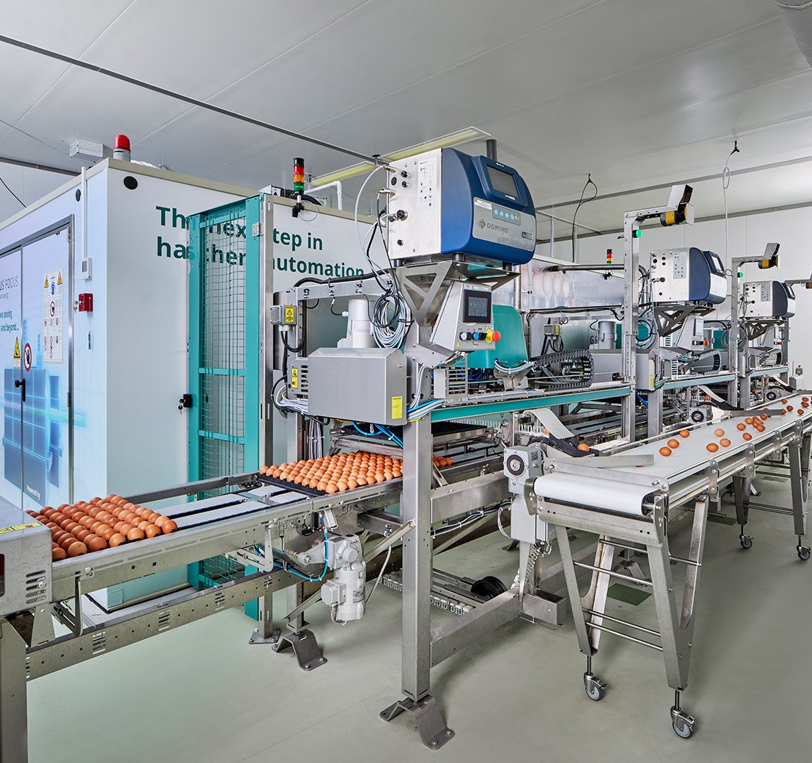 Genus Focus - Vencomatic Group